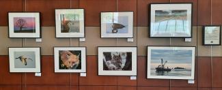 Northside Library | Jefferson-Madison Regional Library